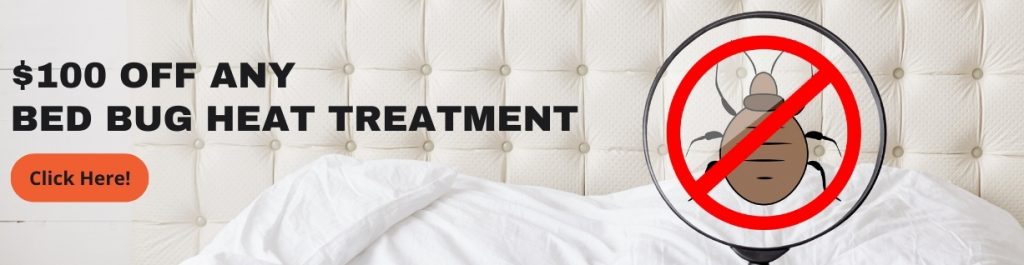 Bed Bug Heat Treatment Mcdonald Pest Control 727 734 0963